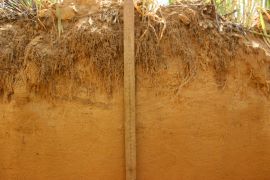 click here for more info on high soil strength